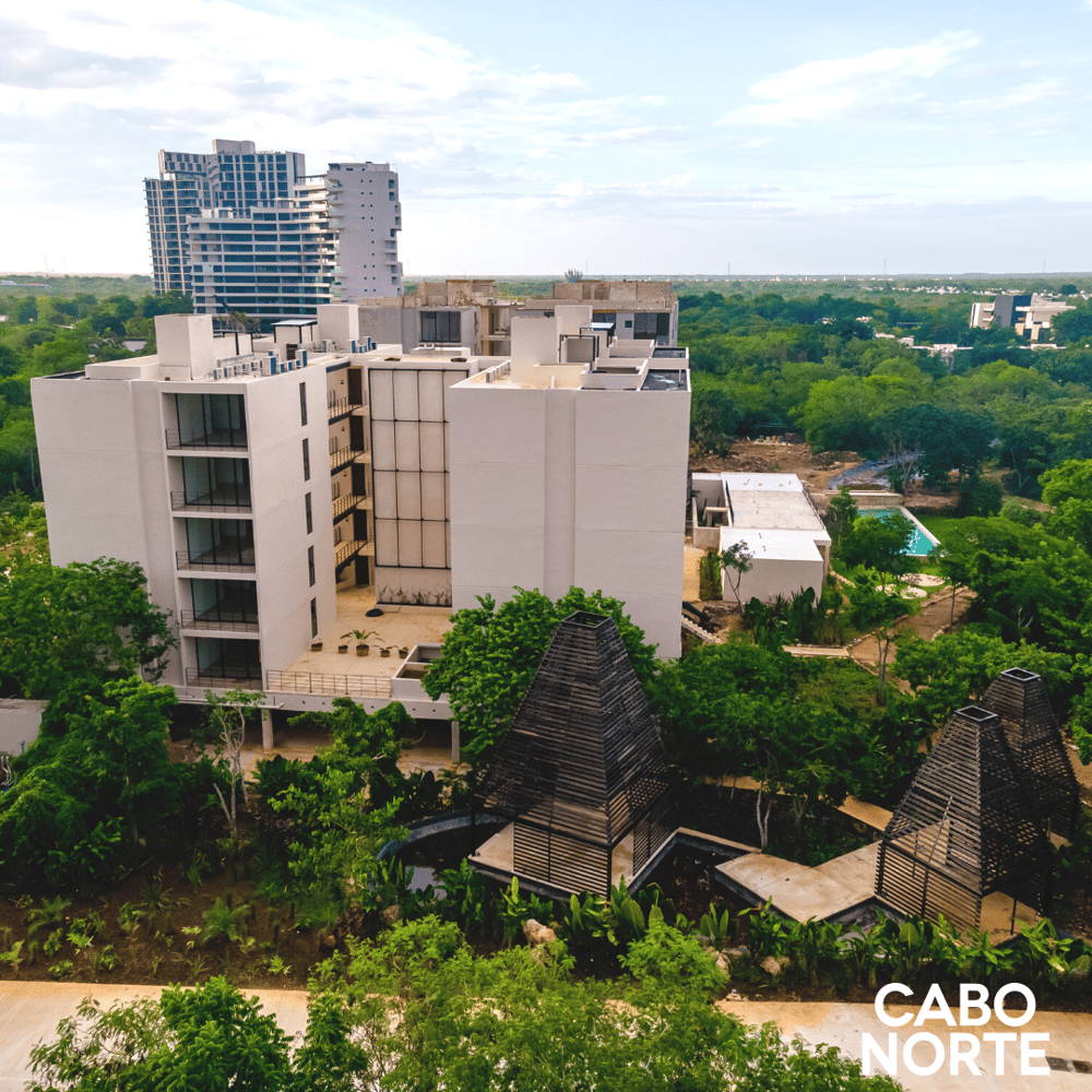 ¿Qué es mejor comprar: departamento o casa?