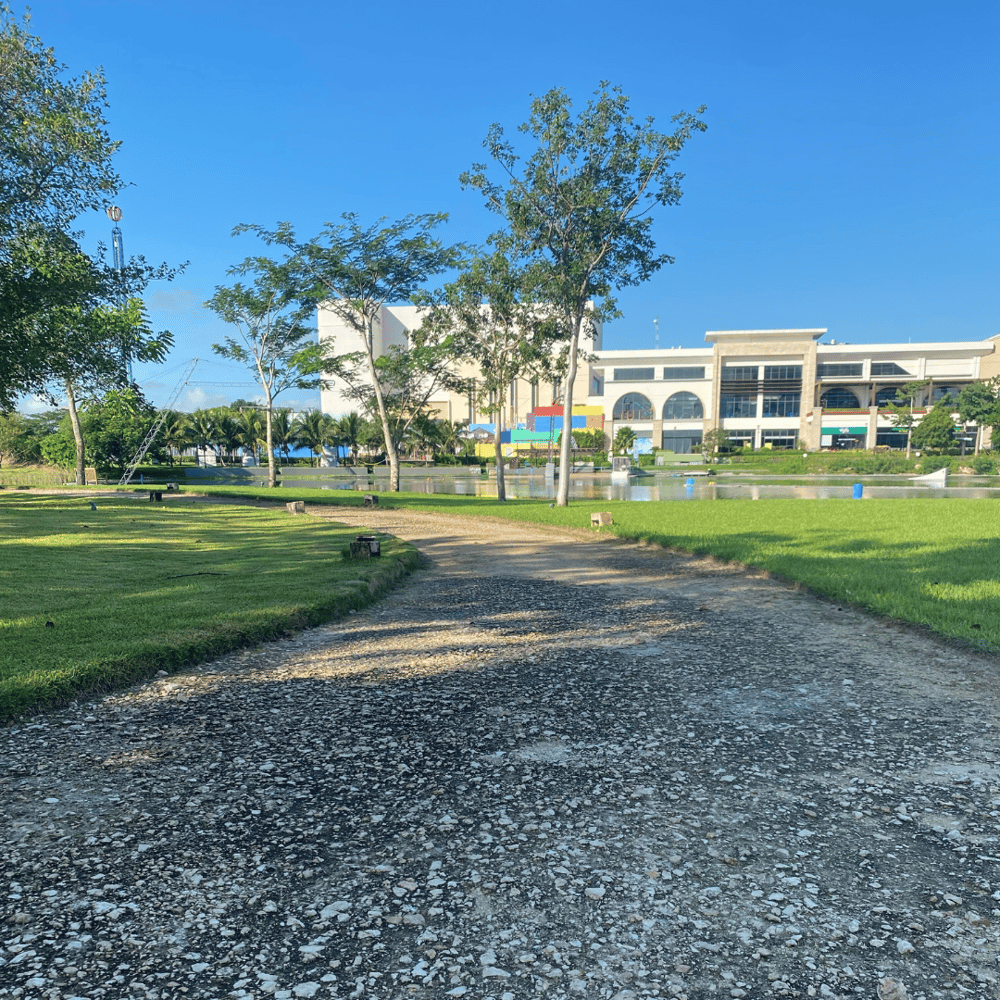 Vive en Cabo Norte en medio de la naturaleza
